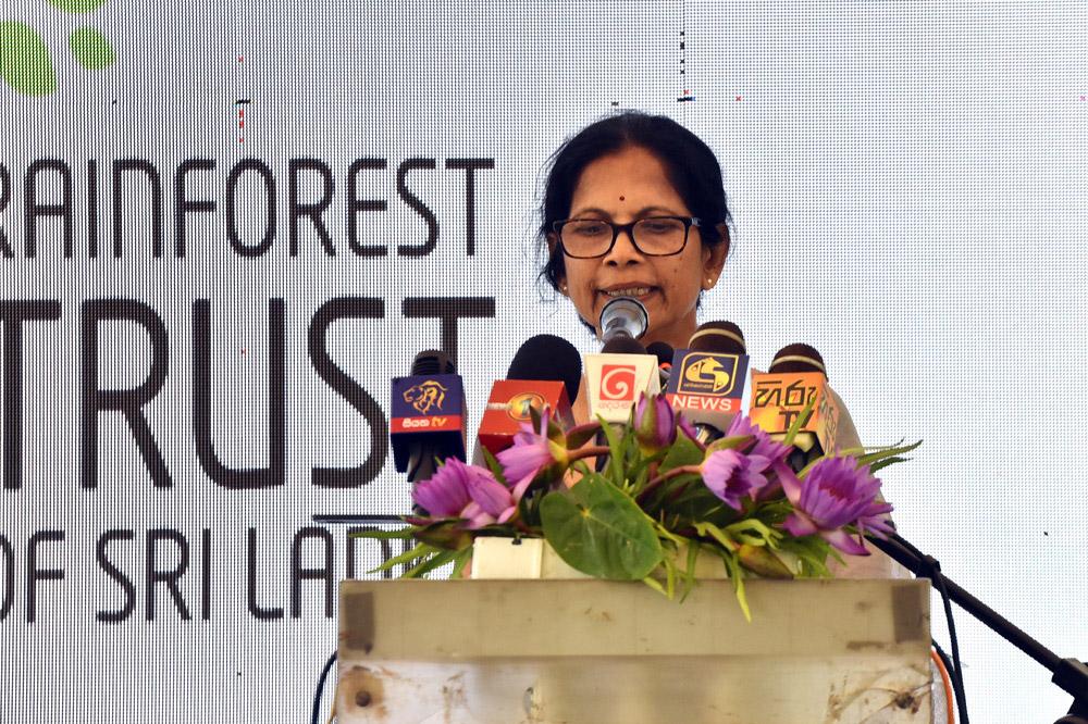 Tree naming ceremony held in Colombo - Caption Story | Daily Mirror