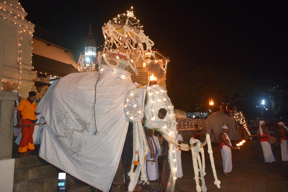 First Kumbal Perahera - Caption Story | Daily Mirror
