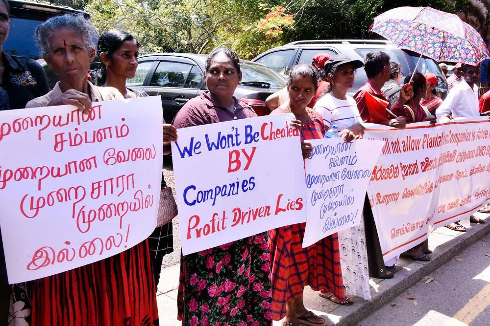 Stop informal labour system - Caption Story | Daily Mirror