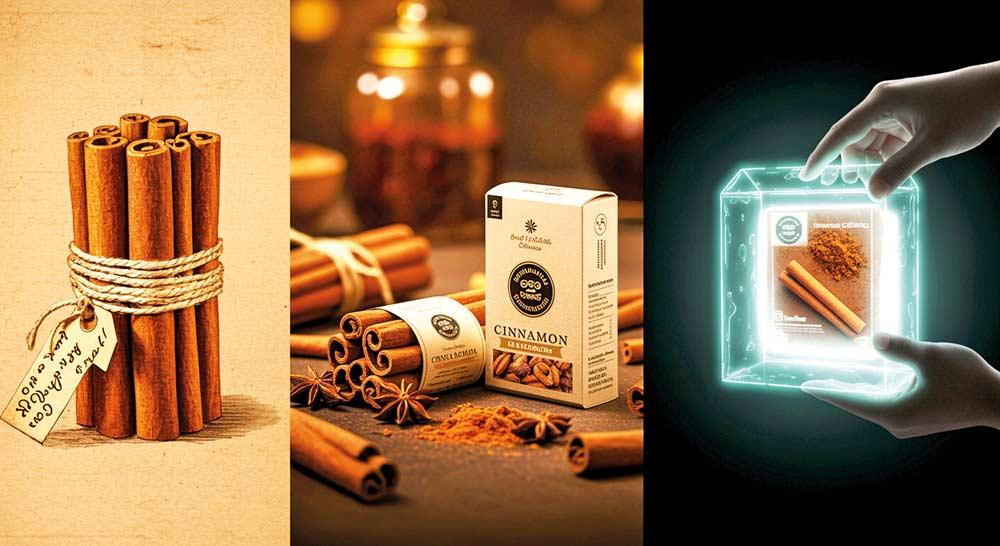 Daily Mirror - Sri Lanka Latest Breaking News and Headlines - Print ...