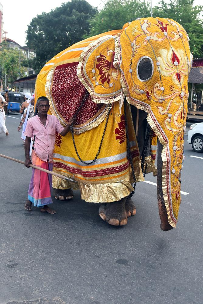 Before Gangaramaya Navam Perahera… - Caption Story | Daily Mirror