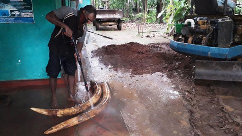 භූමදානය කිරීමෙන් වසර 3 ට පසු ඇතෙකුගේ සිරුරක් යළි ගොඩ ගනියි (PHOTOS)