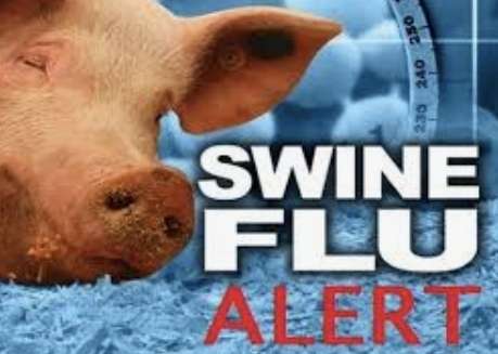 African Swine Flue alert: Gazette declares all divisional secretariats ...