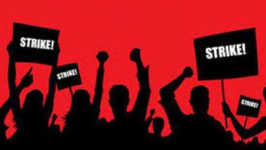 Zoo employees stage strike seeking hikes - Breaking News | Daily Mirror