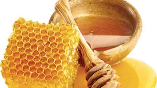 Sri Lanka’s honey industry stung by bitter shortfalls - Front Page ...