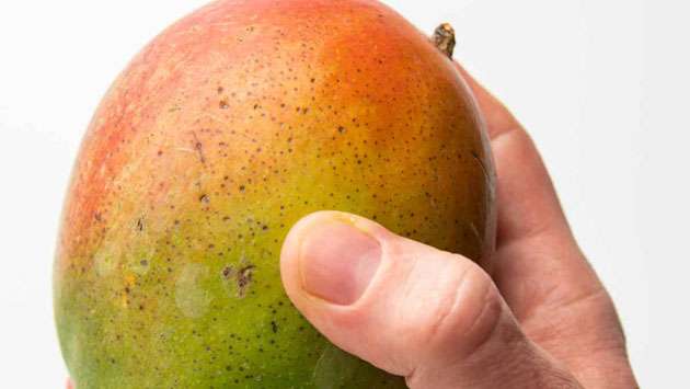 A mango auctioned for Rs. 246,000 - Breaking News | Daily Mirror