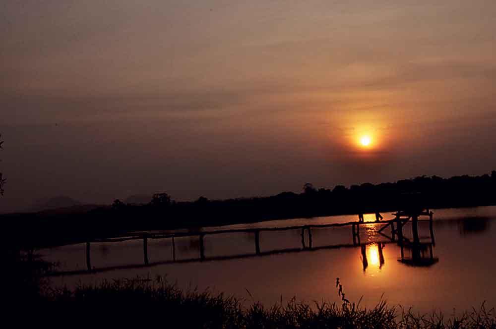 ‘Thoppigala’ excursion Adventure climb in Batti - Life | Daily Mirror