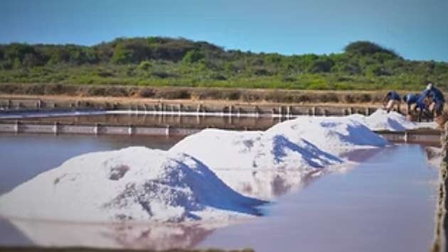 Over 15,000 MT of salt washed away by rain in Puttalam - Breaking News ...
