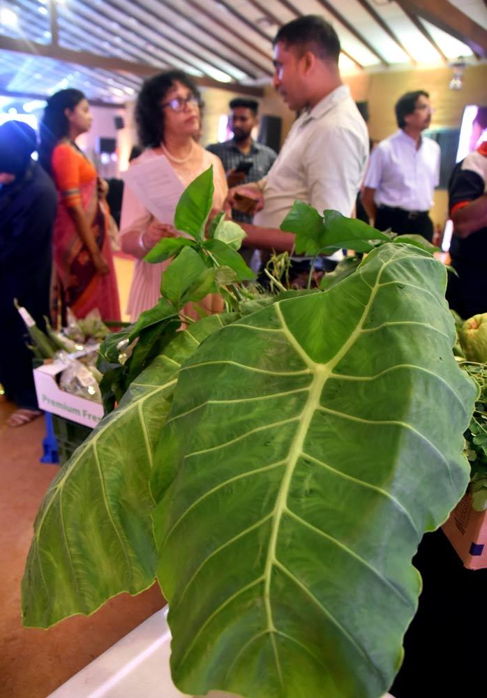 Promoting lesser-known foods... - Caption Story | Daily Mirror