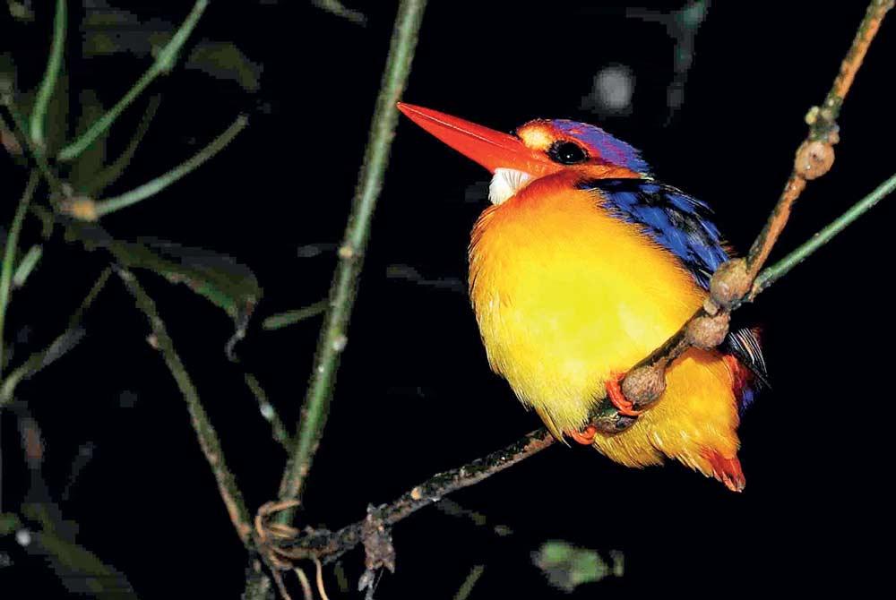 Daily Mirror - Sri Lanka Latest Breaking News and Headlines - Print ...