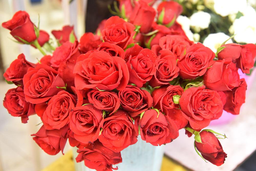 Roses see weak demand as prices bite - Breaking News | Daily Mirror