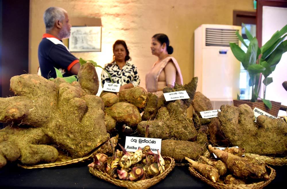 Promoting lesser-known foods... - Caption Story | Daily Mirror