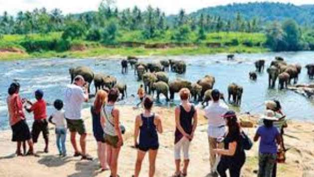 Average tourist spending falls in Sri Lanka - Breaking News | Daily Mirror