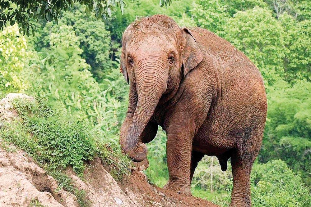 Daily Mirror - Sri Lanka Latest Breaking News and Headlines - Print ...