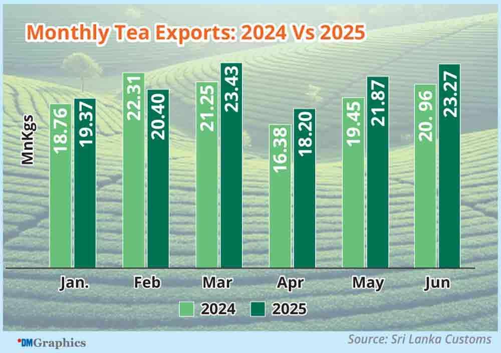 Tea exports expand in 1H despite softer prices - Business News | Daily ...