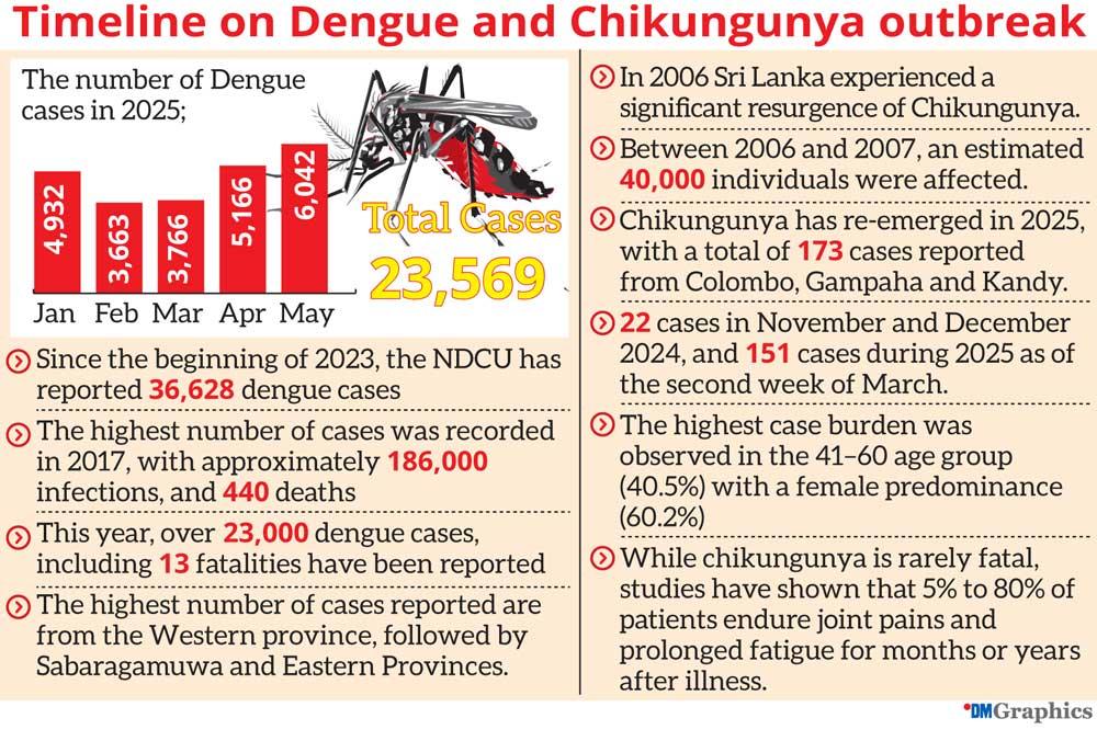 Sri Lanka gripped by Dengue, Chikungunya outbreaks’ - News Features ...