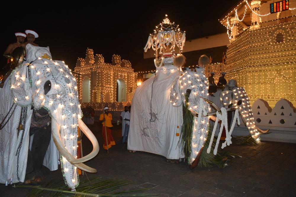 First Kumbal Perahera - Caption Story | Daily Mirror