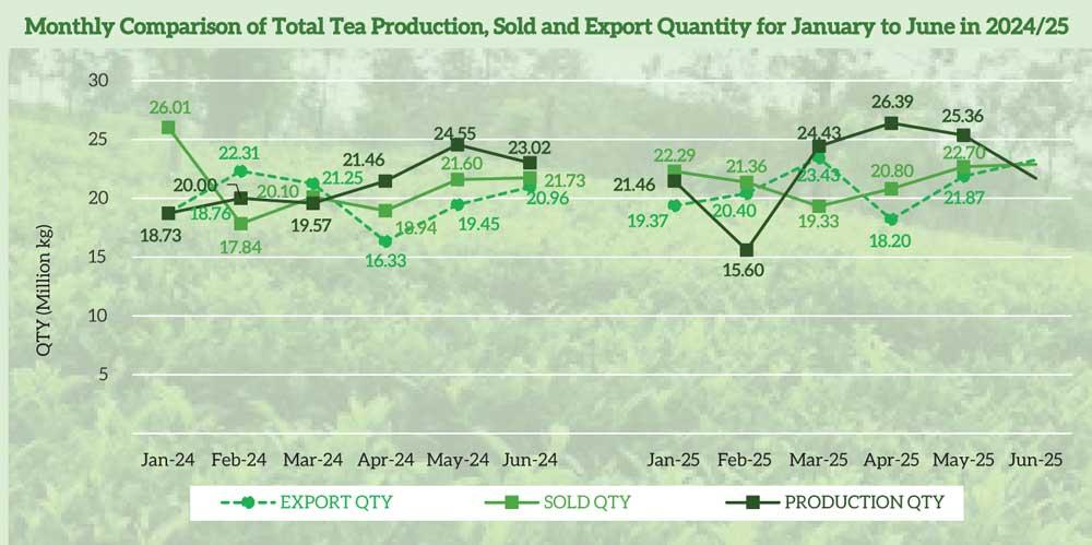 Tea industry overview (Jan - June, 2025) - Business News | Daily Mirror