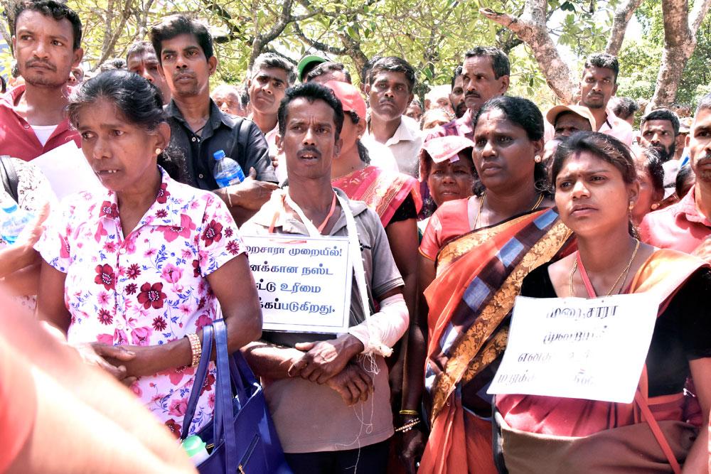 Stop informal labour system - Caption Story | Daily Mirror