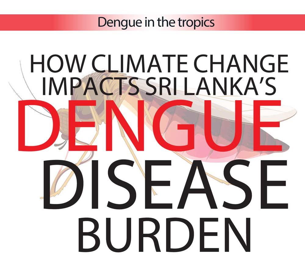 Dengue in the tropics How climate change impacts Sri Lanka’s dengue disease burden - News ...