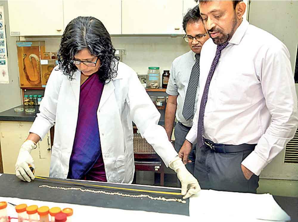 Daily Mirror - Sri Lanka Latest Breaking News and Headlines - Print ...