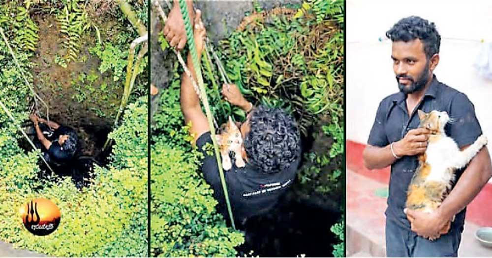 Rescuer risks life to save a cat - News Features | Daily Mirror