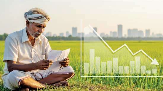 Accountability and Agriculture Rice Farmers - Legally Required to Stay ...