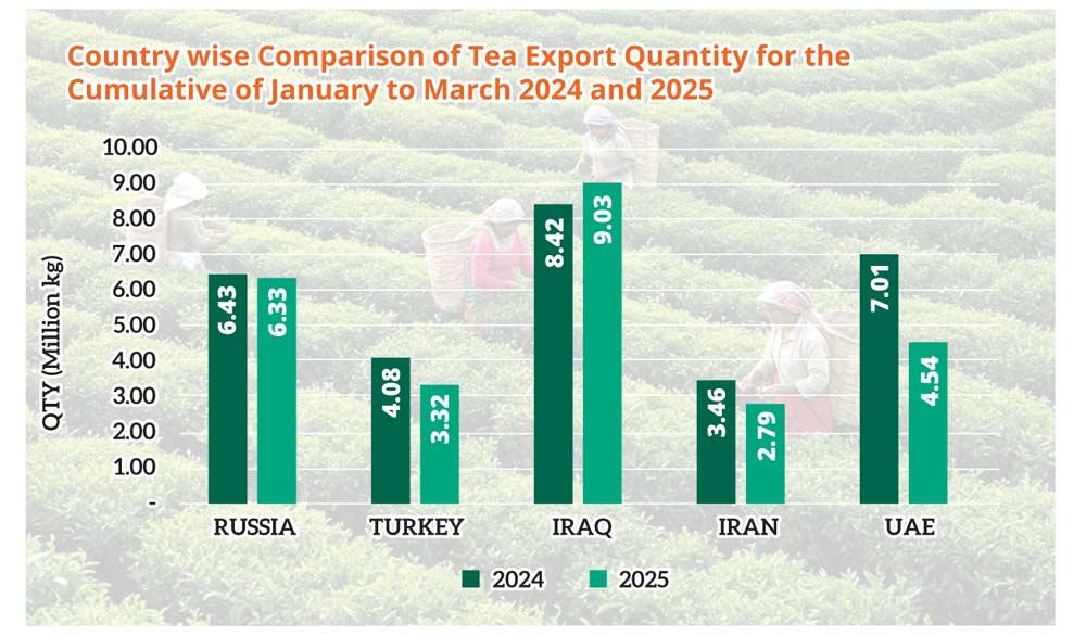 Tea industry overview – First quarter 2025 (another black liquid gold ...