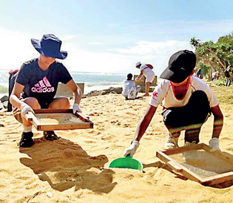 Nurdle Free Lanka Campaign protecting Sri Lanka’s shoreline from ...