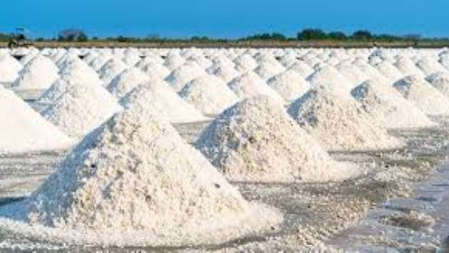 Sri Lanka imports salt from India - Breaking News | Daily Mirror