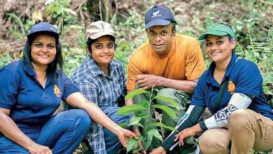 Ocean Lanka continues rainforest restoration journey - Business News ...
