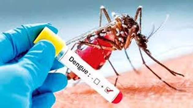 Dengue cases near 30,000 as death toll rises to 15 this year - Breaking ...