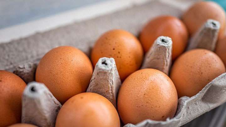 New egg shipment to arrive tomorrow: STC - Breaking News | Daily Mirror