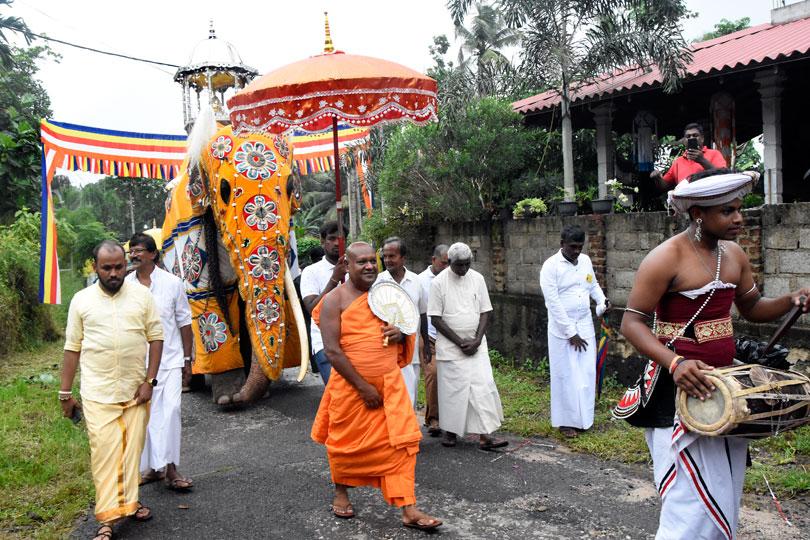 Vesak Maha Perahera... - Caption Story | Daily Mirror