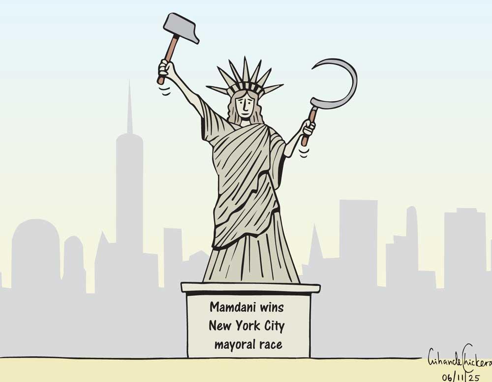 American Freedom Cartoon