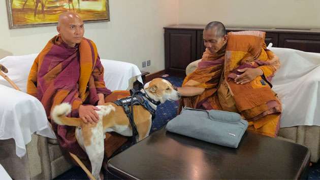 Ehipassiko peace walk ends; monks depart Sri Lanka with ‘Aloka ...