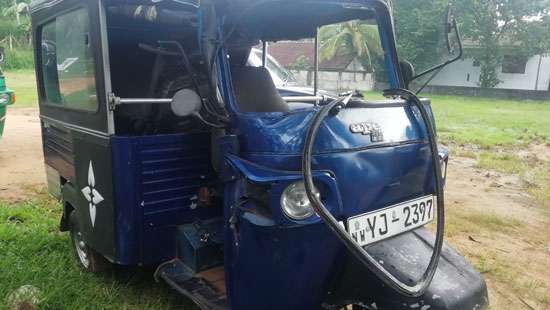 Four injured when three-wheeler crashes into a horse - Breaking News ...