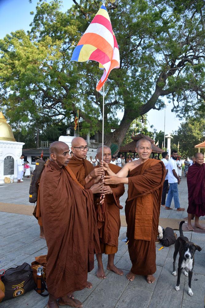 Pindapatha Charika... - Caption Story | Daily Mirror