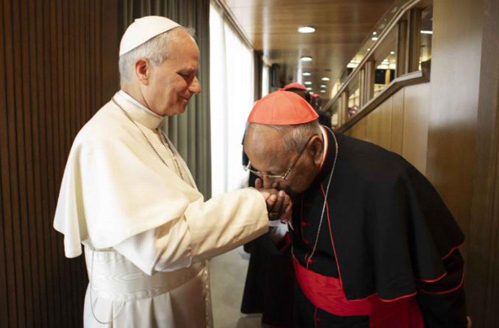 Cardinal Malcolm meets Pope Leo IV - Caption Story | Daily Mirror