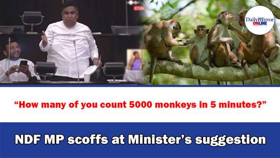 “How many of you count 5000 monkeys in 5 minutes?” NDF MP scoffs at ...