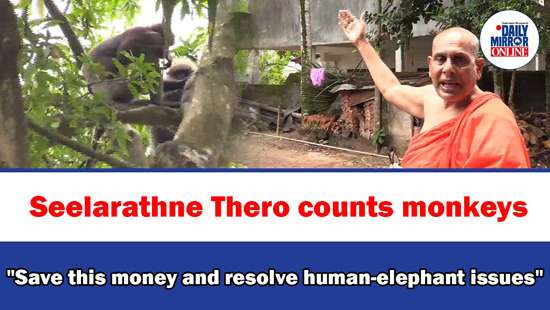 Seelarathne Thero counts monkeys ’’Save this money and resolve human ...