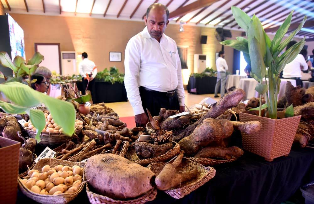 Promoting lesser-known foods... - Caption Story | Daily Mirror