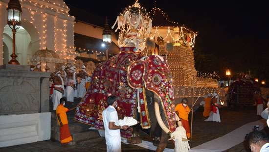 First Kumbal Perahera to parade streets of Kandy tonight - Breaking ...