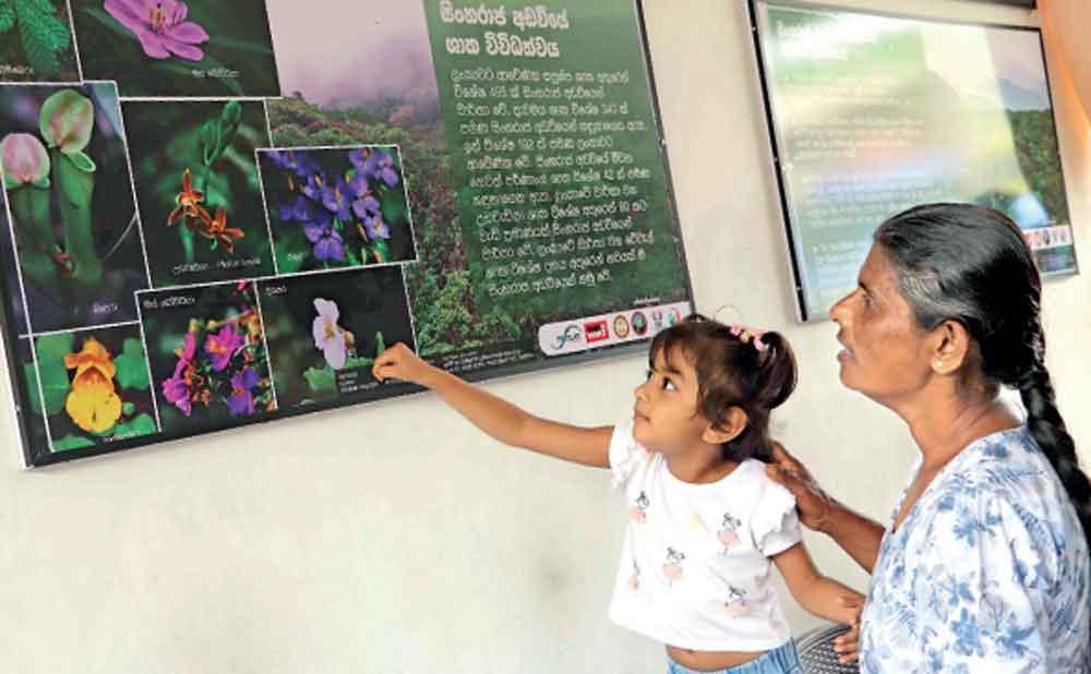 Kalawana bus stop serves as info centre for Sinharaja Reserve - News ...