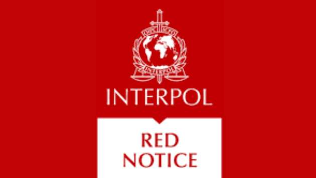 Police obtain 95 red notices against overseas-based organised criminals ...