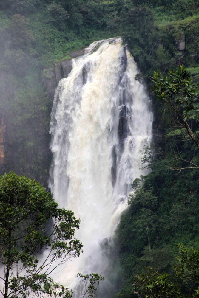 Waterfalls active... - Caption Story | Daily Mirror