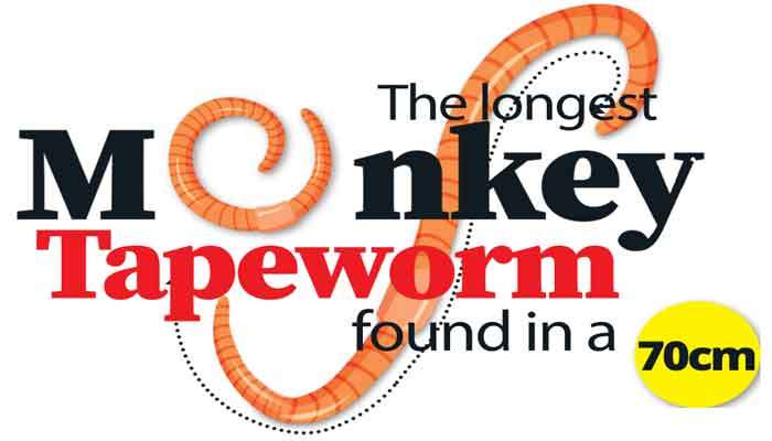 Daily Mirror - Sri Lanka Latest Breaking News and Headlines - Print ...