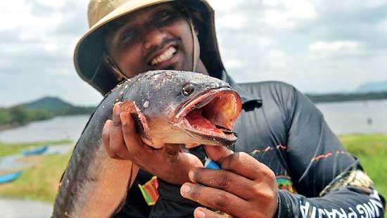 IPD Colombo and SLIIT join to establish Power Systems Laboratory ...