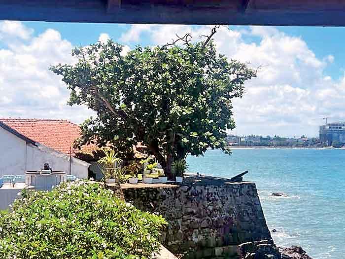 Colonial Forts Sri Lanka - Life | Daily Mirror