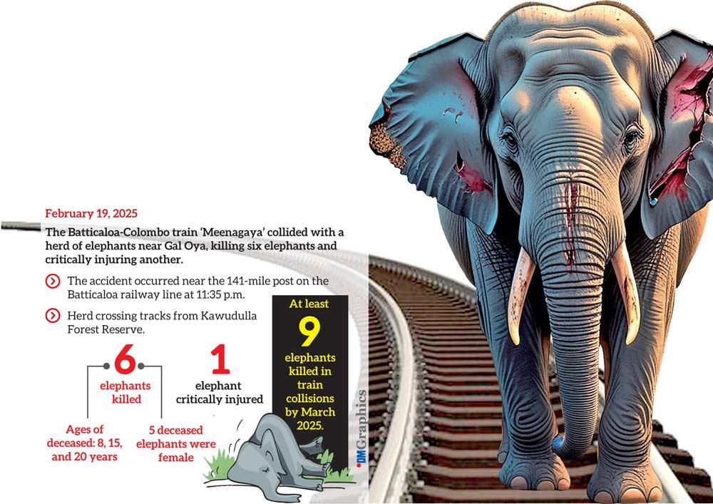 Could revised train schedules minimise elephant-train collisions ...